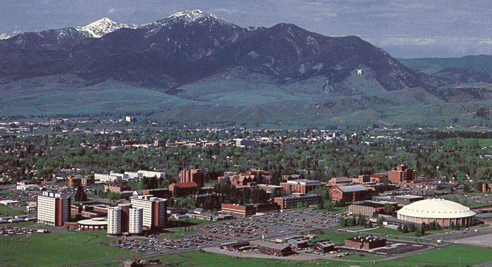 What Will They Learn? - Montana State University - Bozeman