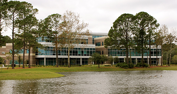 What Will They Learn? - University of North Florida