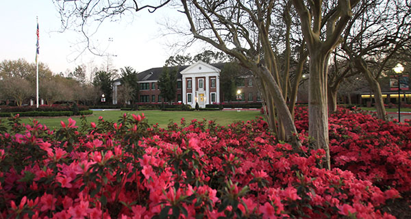 What Will They Learn? - Nicholls State University