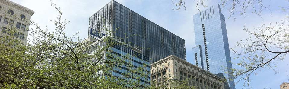 What Will They Learn? - National Louis University